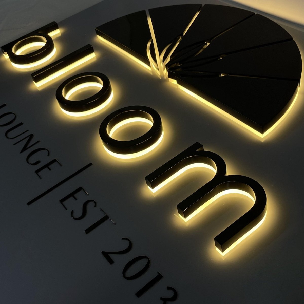 Custom backlit lettering signage Led backlit 3d storefront company log
